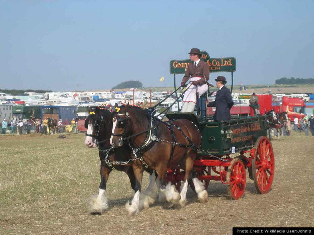 The Compleat Barley Mow – PiratePalooza.com